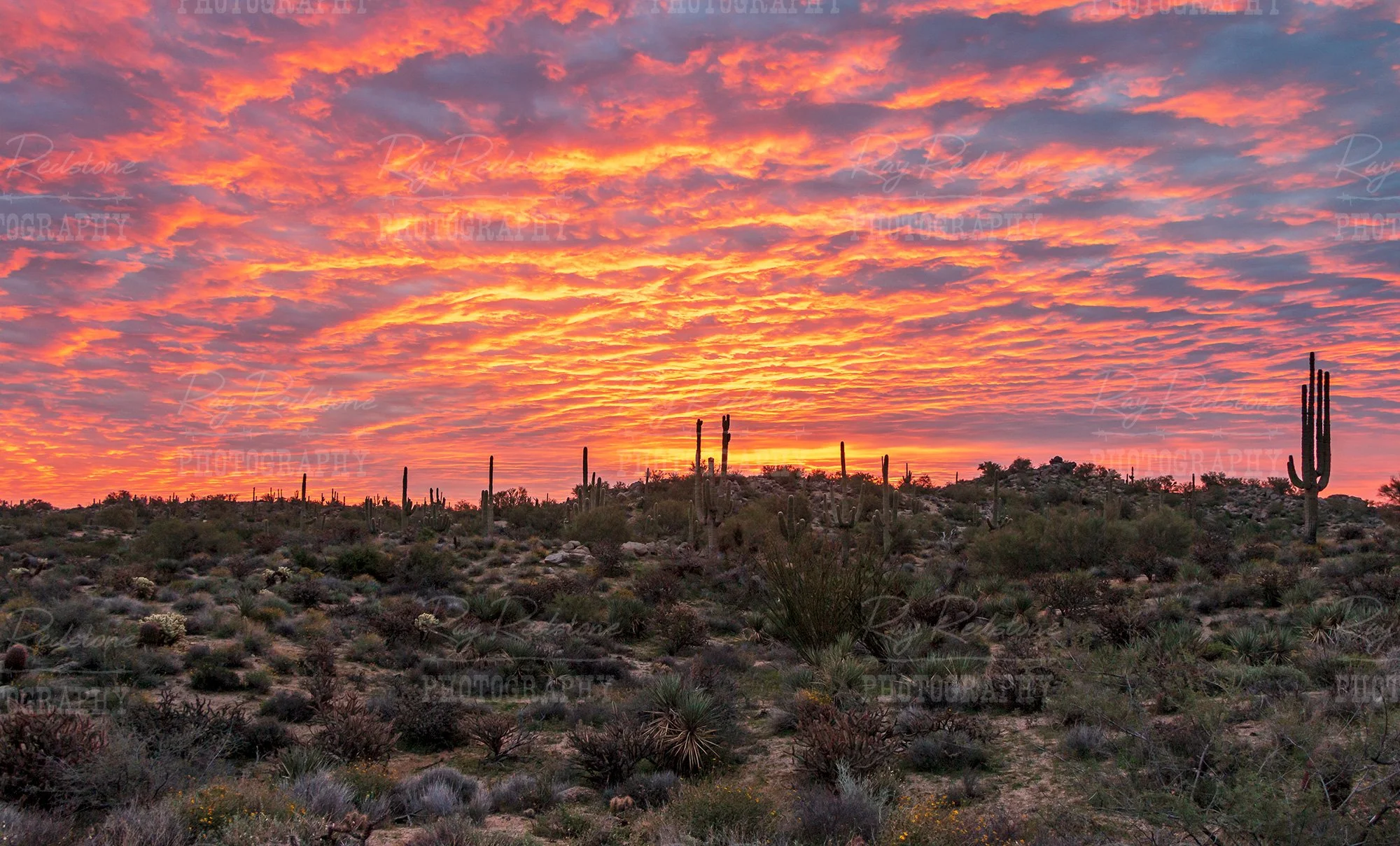 Arizona Desert Sunrise & Sunset Images For Sale, Image Digital ...