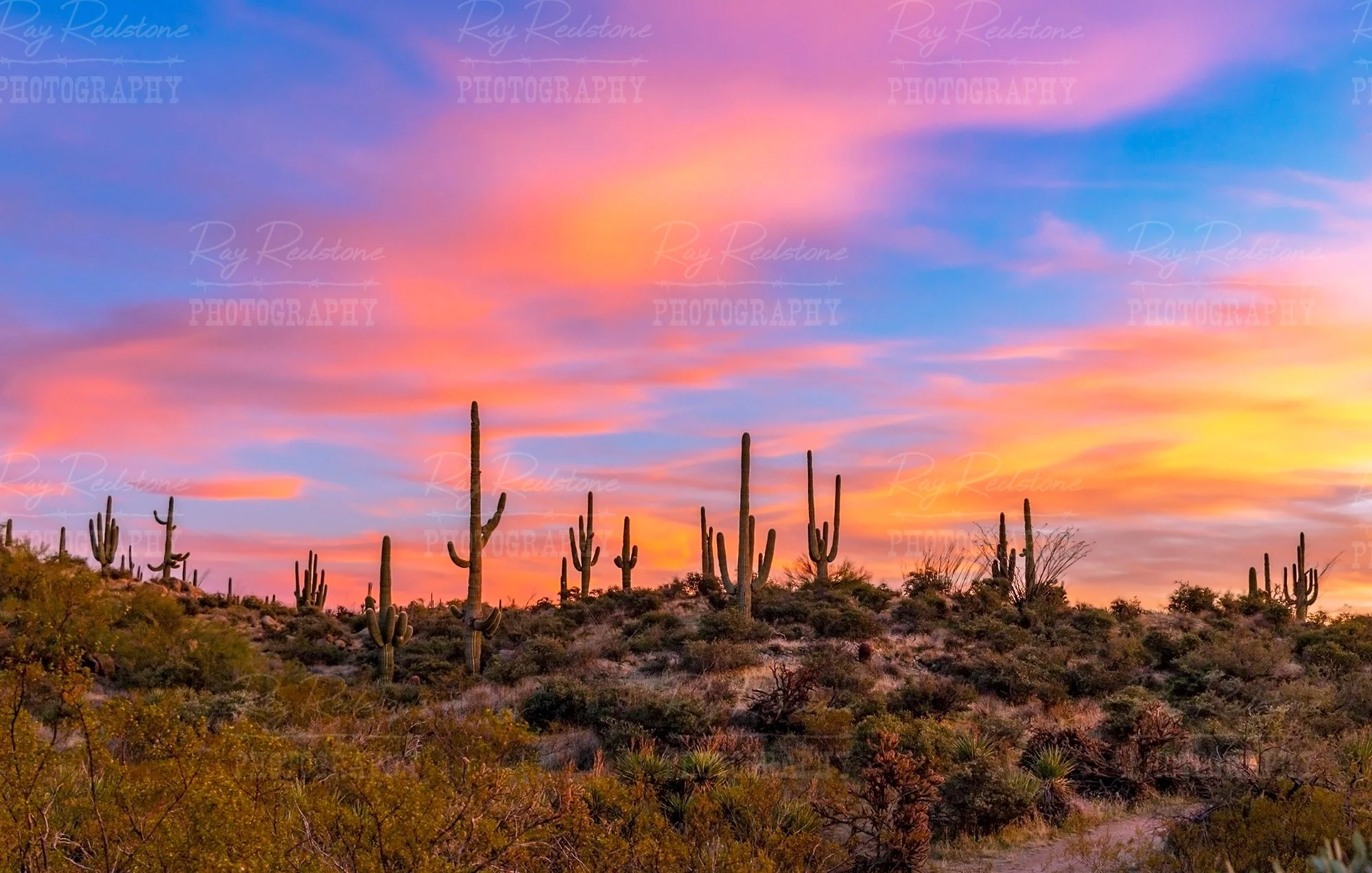 Arizona Desert Sunrise & Sunset Images For Sale | Photos | Pictures