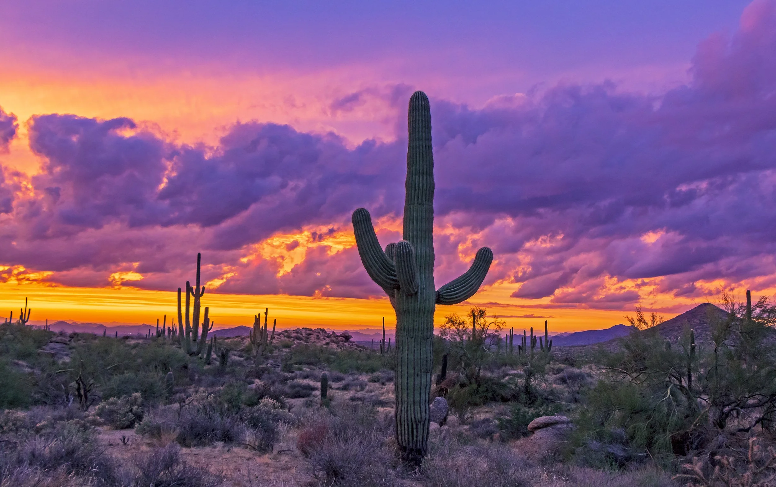 American Southwest Photography, Images, Photo Editing Services | Ray ...