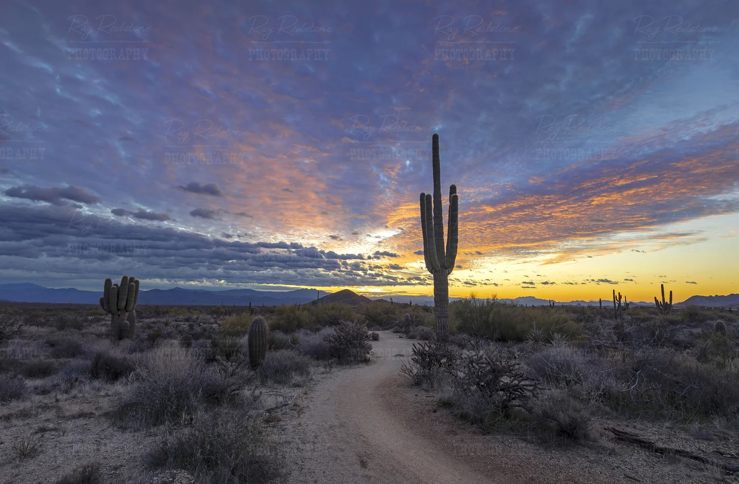 Arizona Desert Sunrise & Sunset Images For Sale, Image Digital ...