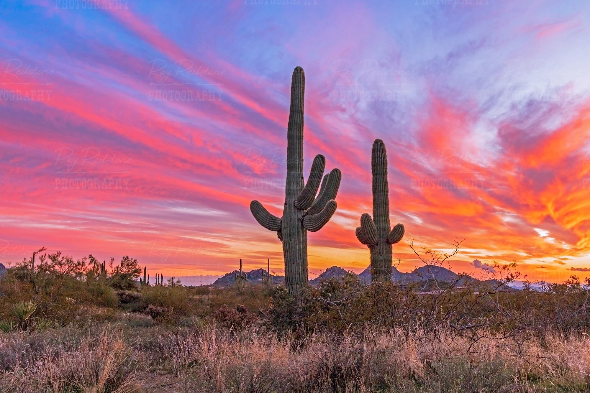 Brown's Ranch Trail Images In Scottsdale AZ | Photos | Photography Tips ...