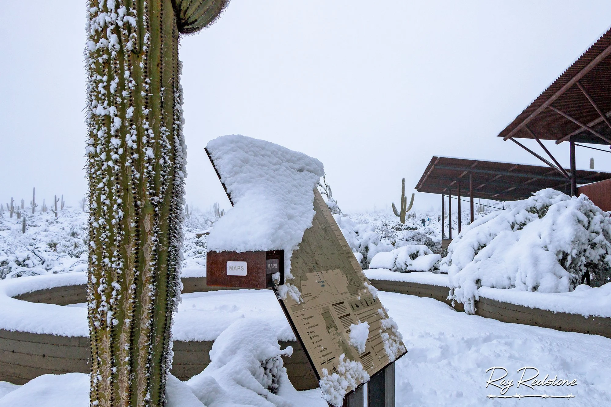 Brown's Ranch Trail Images In Scottsdale AZ | Photos | Photography Tips ...
