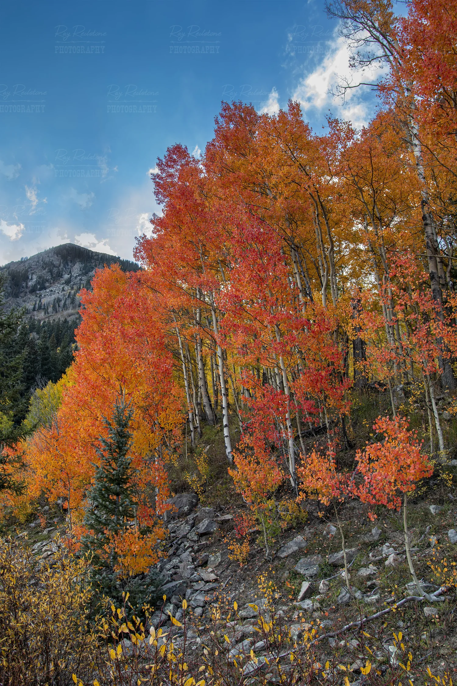 Telluride Colorado Fall Images | Photos | Photography Tips