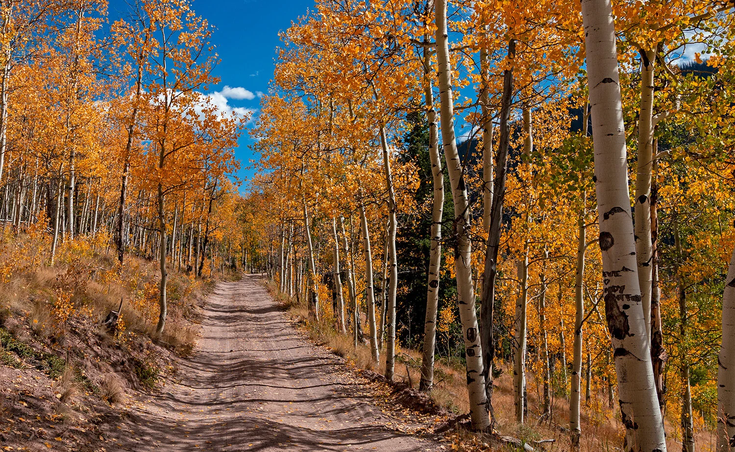 Fall Stock Images From The American Southwest | Autumn Season
