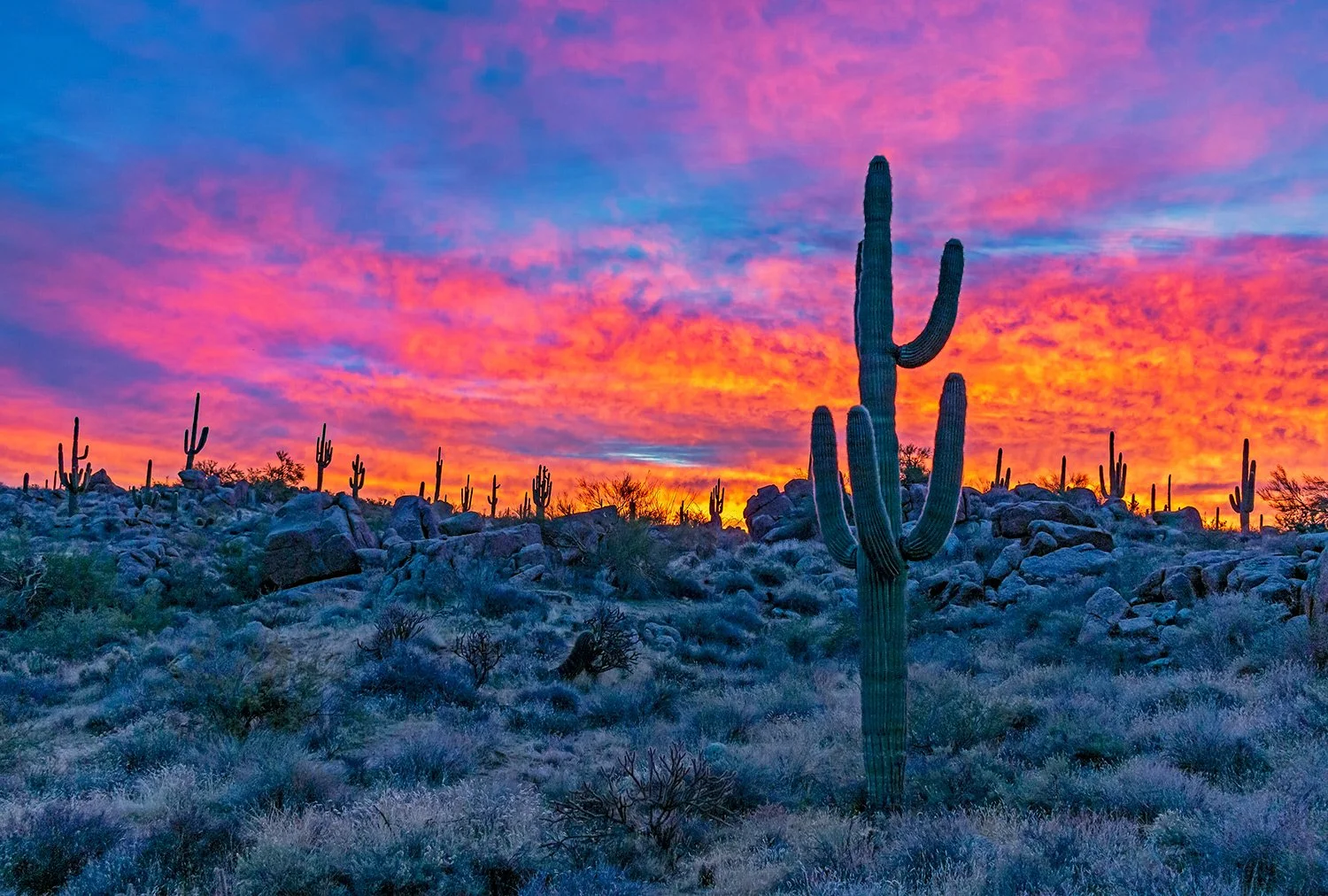 Southwest USA Sunsets & Sunrises Stock Images | Buy Photos
