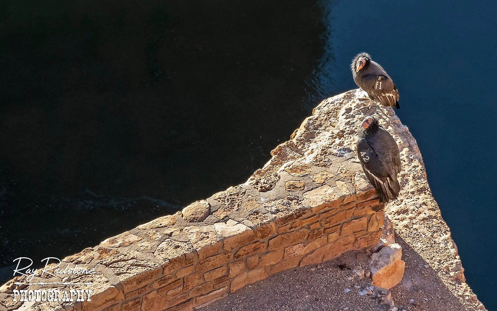 Lees Ferry Arizona Images | Photography | Photos