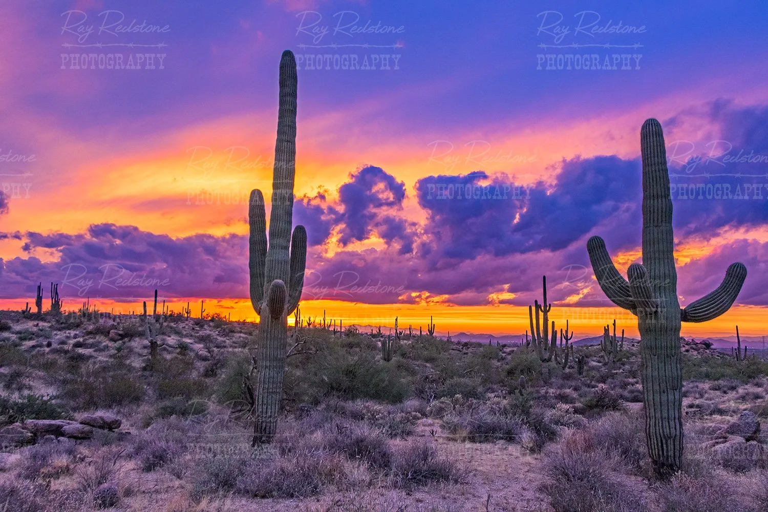 Southwest USA Sunsets & Sunrises Stock Images | Buy Photos
