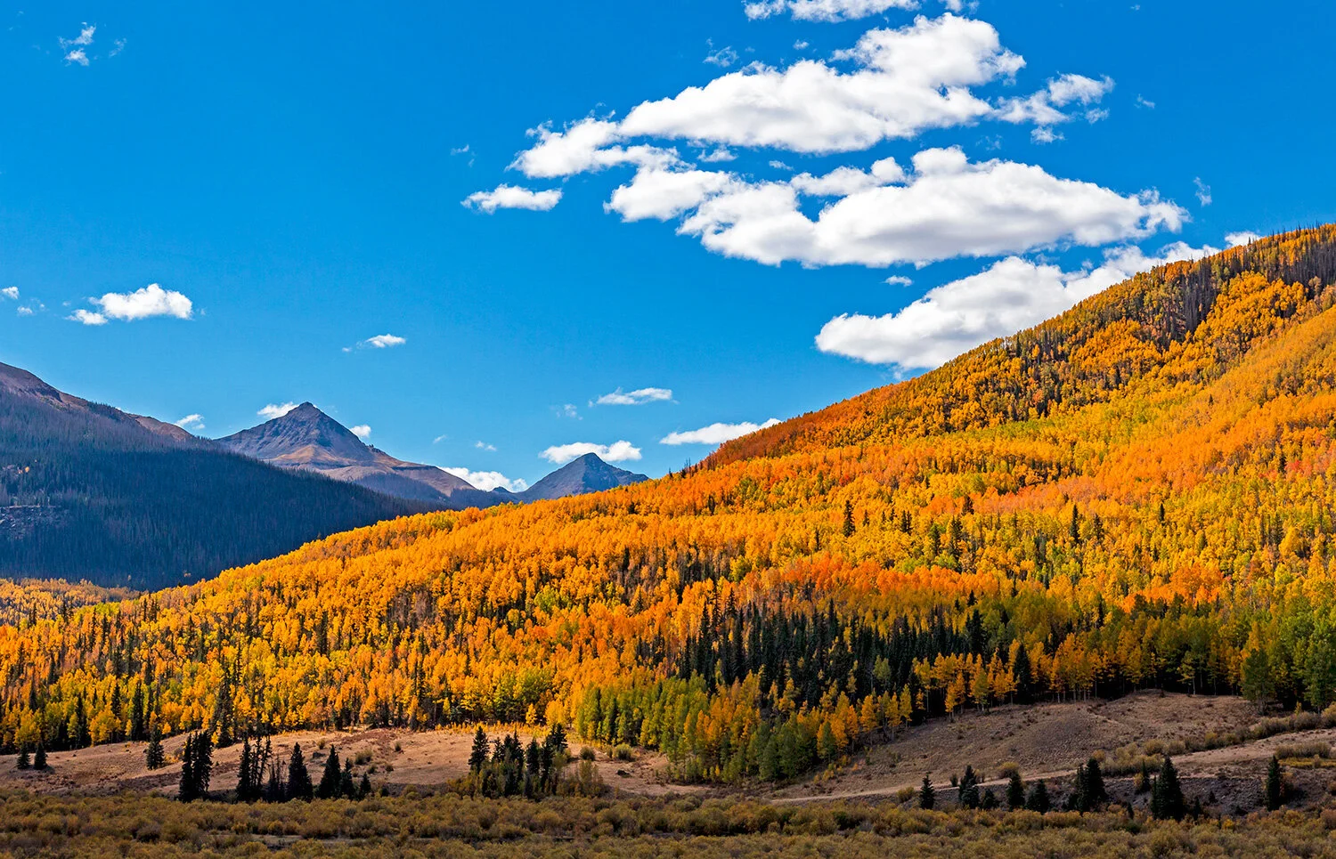 Fall Stock Images From The American Southwest | Autumn Season