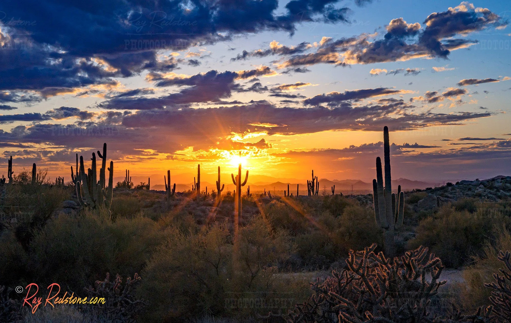 Arizona Desert Sunset & Sunrise Wall Art For Sale | Canvas Prints, Posters
