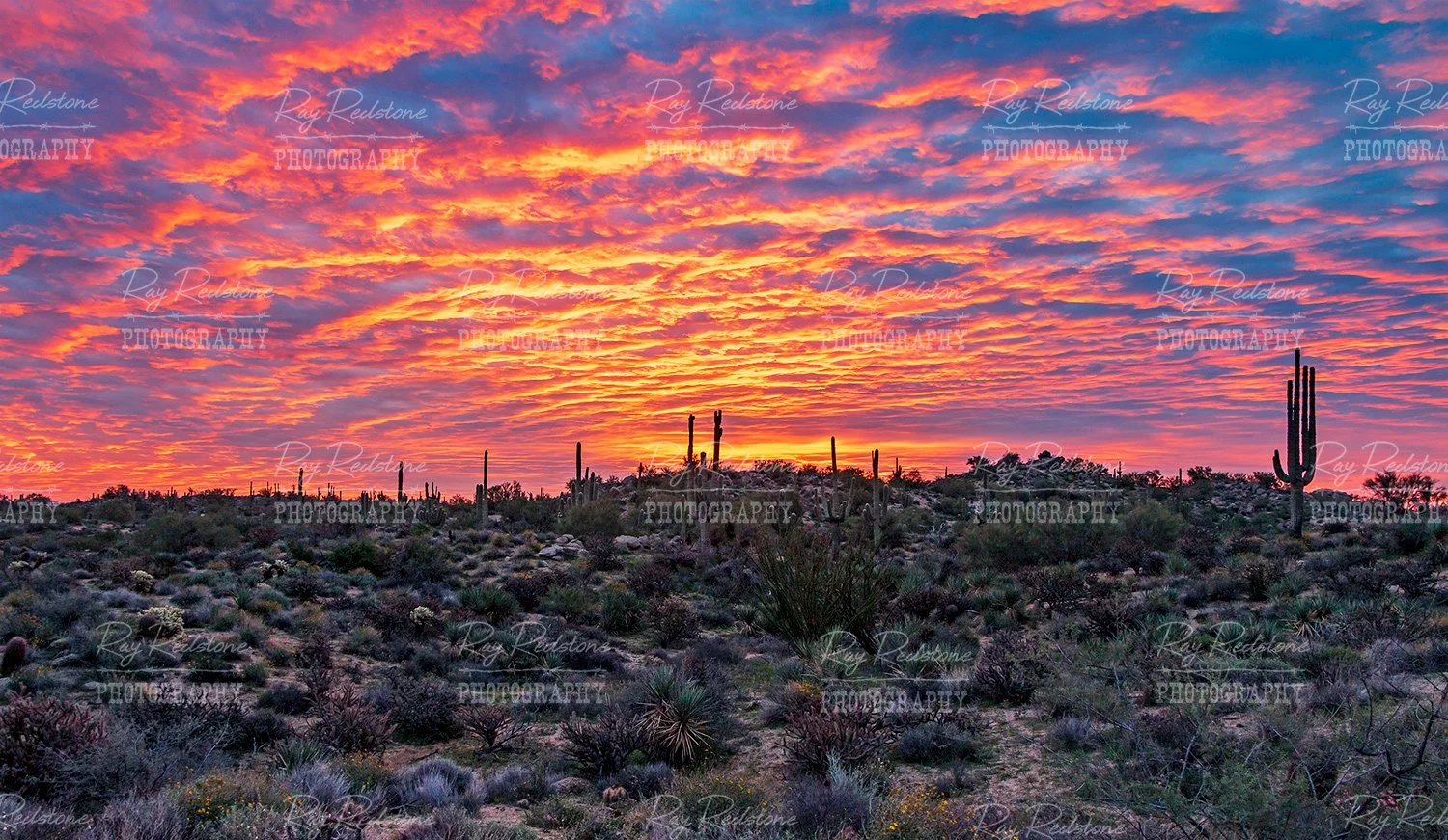 Southwest USA Sunsets & Sunrises Stock Images | Buy Photos