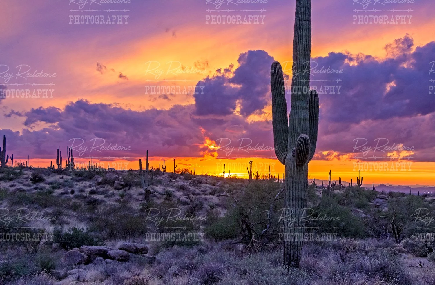 Southwest USA Sunsets & Sunrises Stock Images | Buy Photos