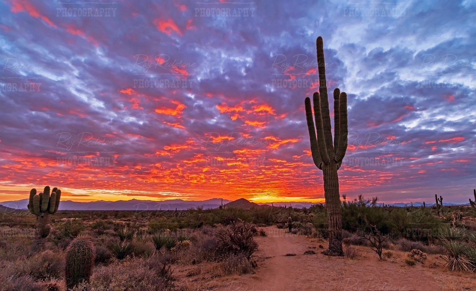 Brown's Ranch Trail Images In Scottsdale AZ | Photos | Photography Tips ...