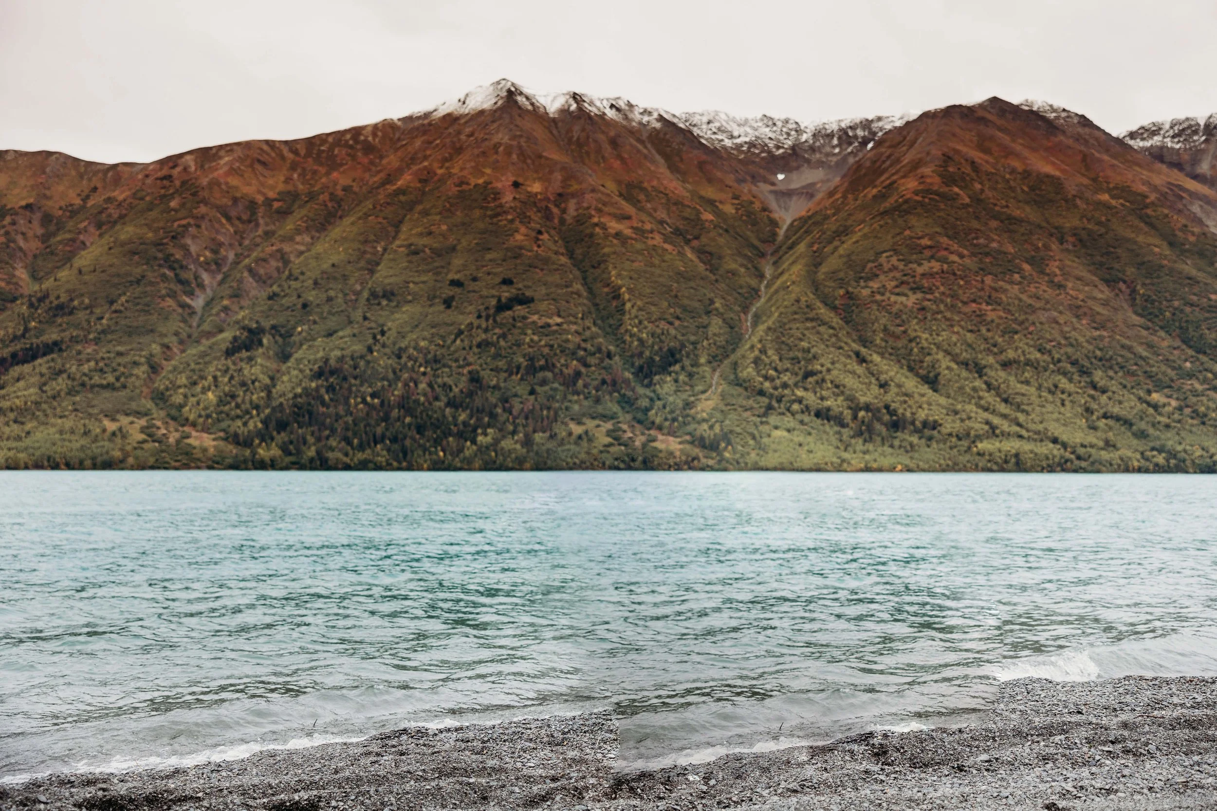 NARROW ROAD PRODUCTIONS