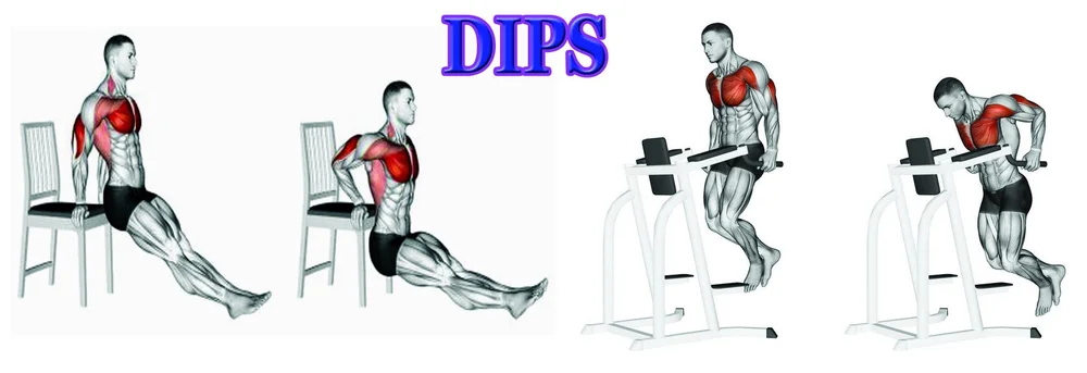 Dips: the simple, correct way to execute this exercise to produce huge ...