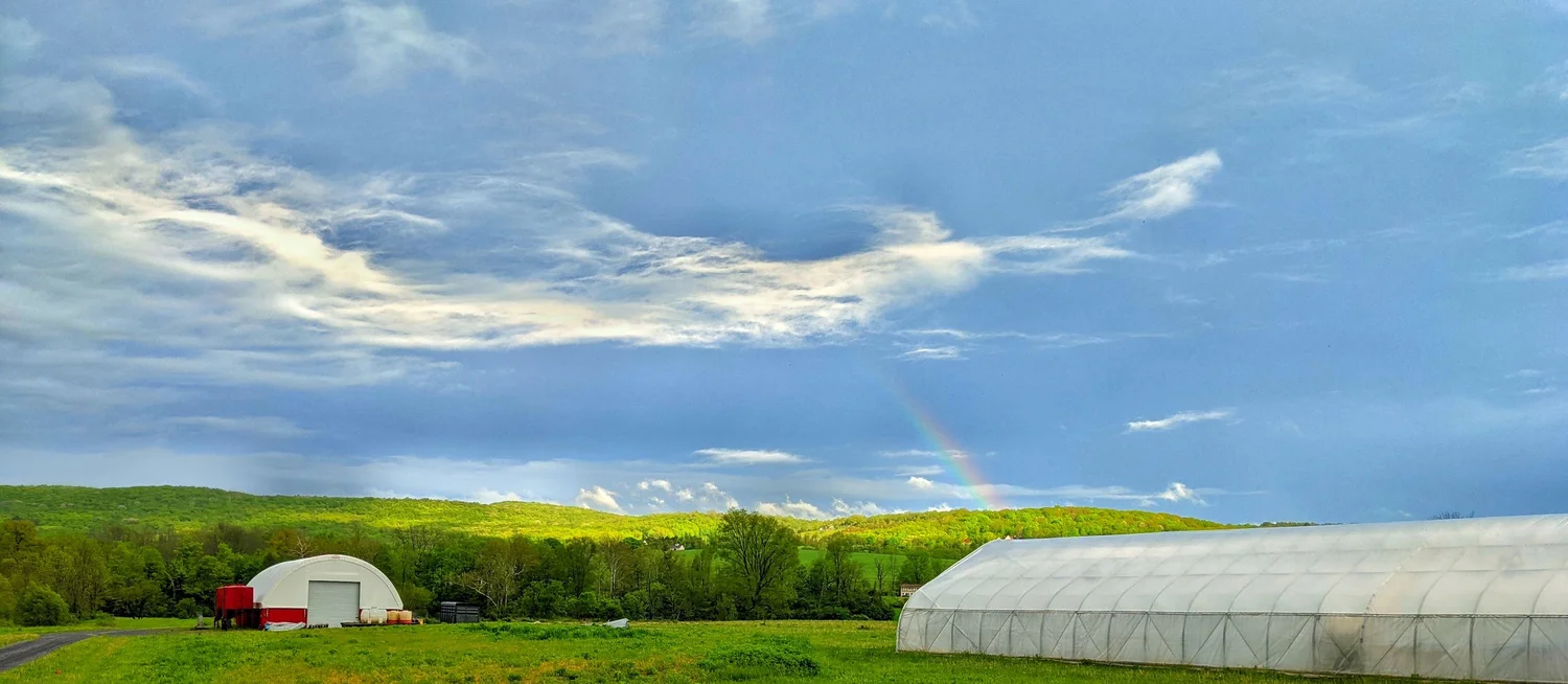 MAITRI FARM