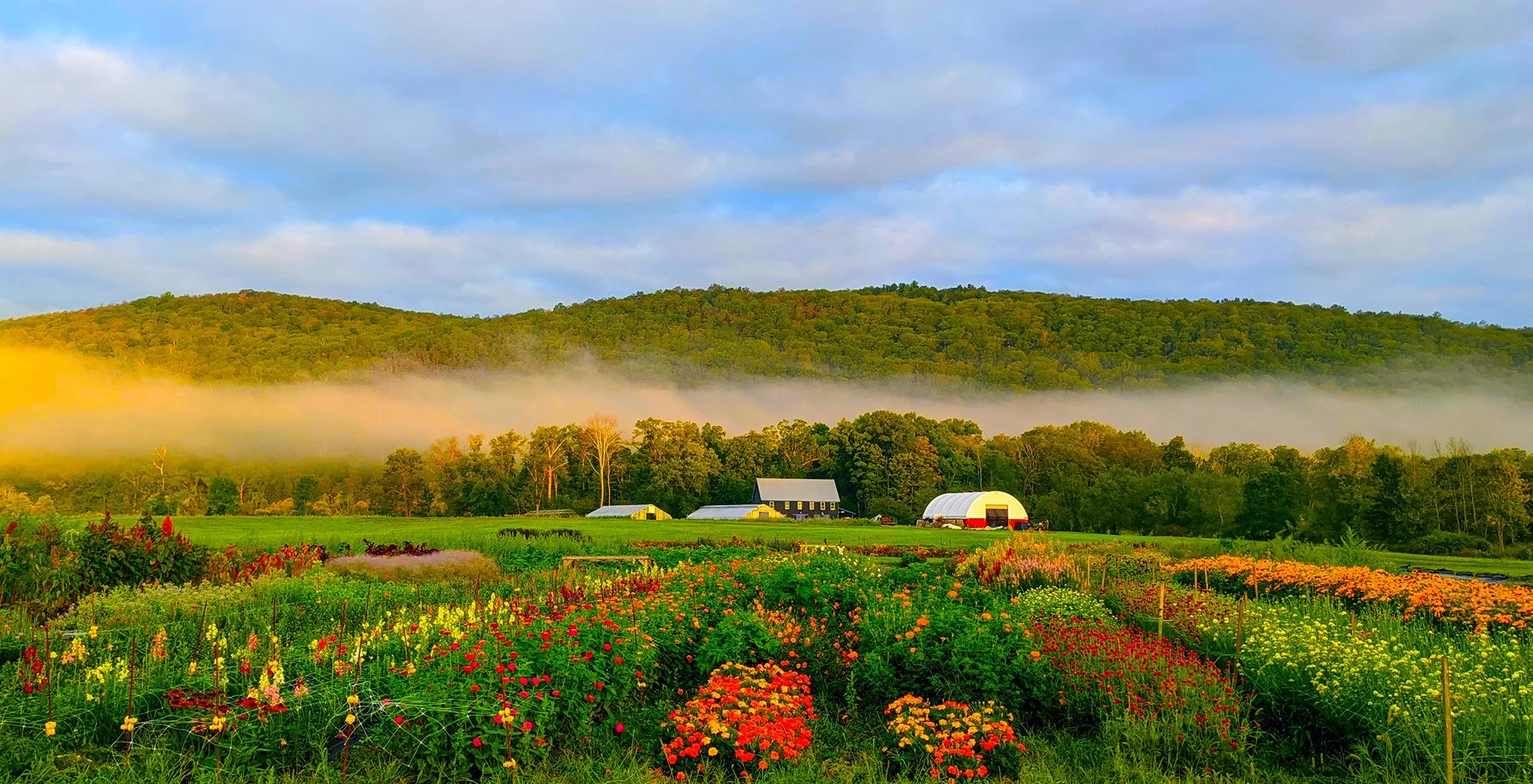 MAITRI FARM