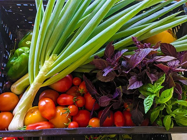 Store 1 — MAITRI FARM