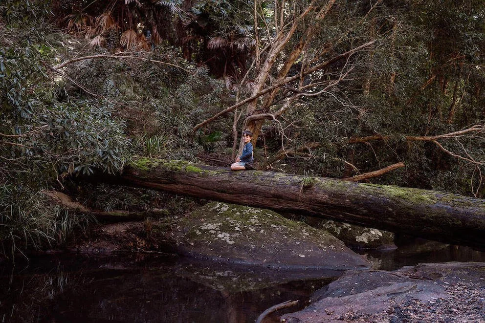 The 12 Best Walks In The Sutherland Shire — SHIRE SCOUT