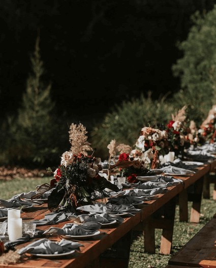 Audley Dance Hall Cafe, Royal National Park — SHIRE SCOUT