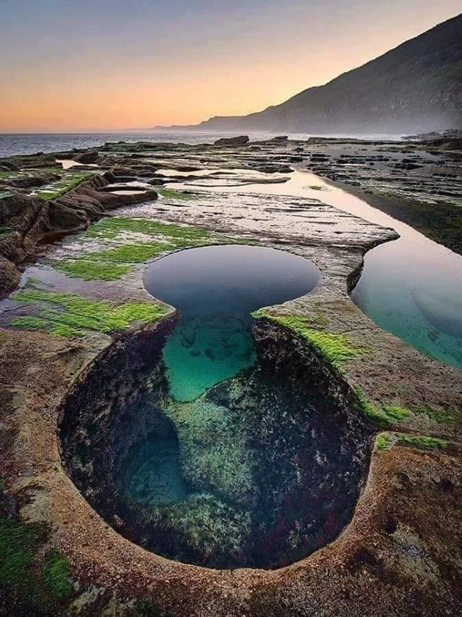 The 16 Best Things To Do In The Sutherland Shire — SHIRE SCOUT