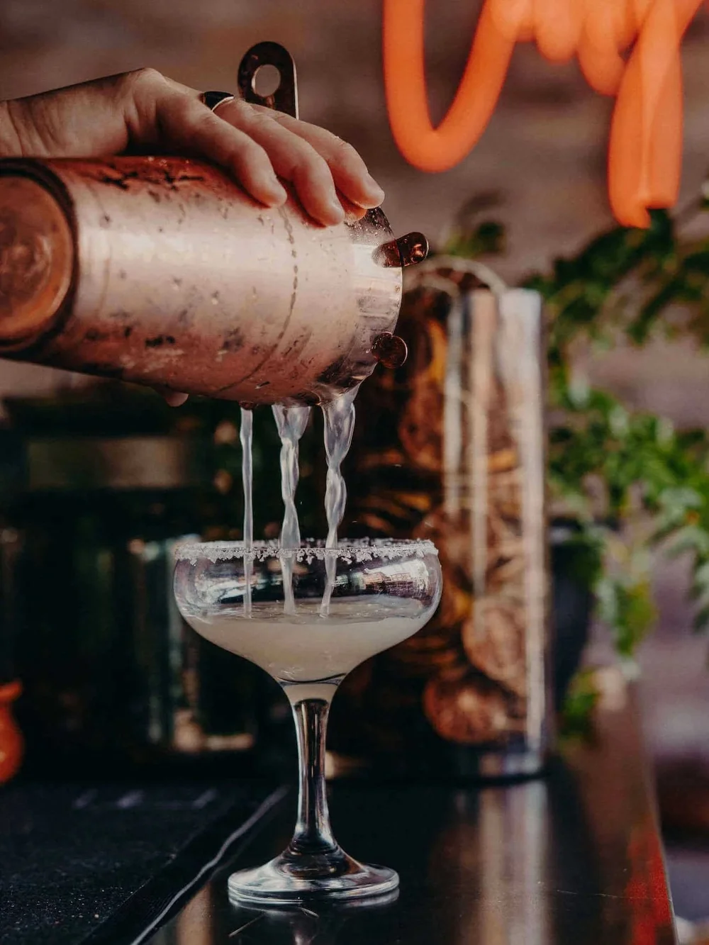 11 Epic Christmas Party Ideas In The Sutherland Shire — SHIRE SCOUT