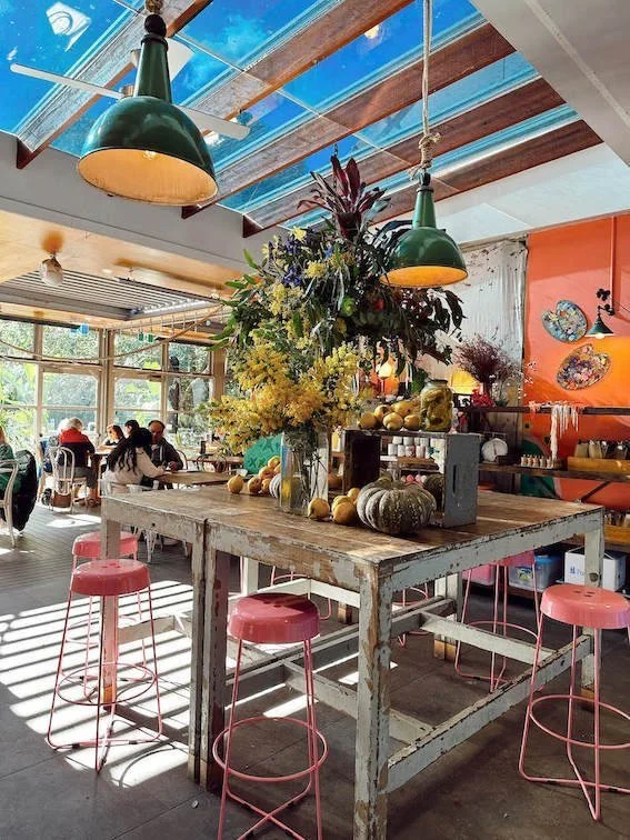 11 Instagrammable Venues In The Sutherland Shire — SHIRE SCOUT