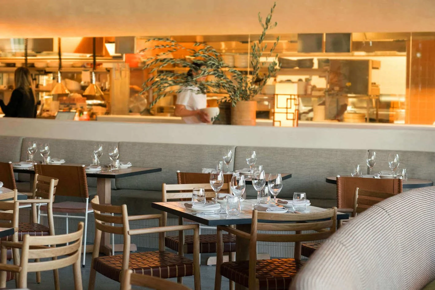 What’s On In The Sutherland Shire This August — SHIRE SCOUT