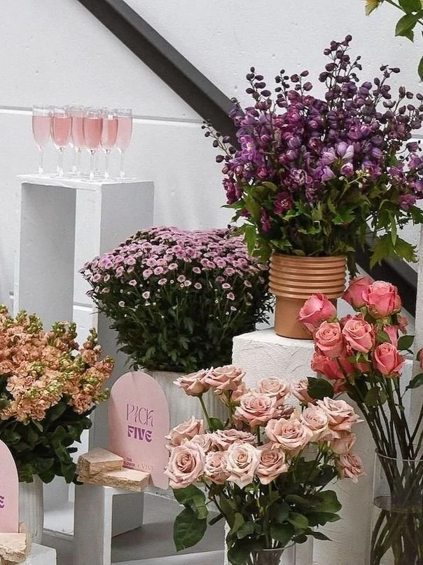 What’s On In The Sutherland Shire This February — SHIRE SCOUT