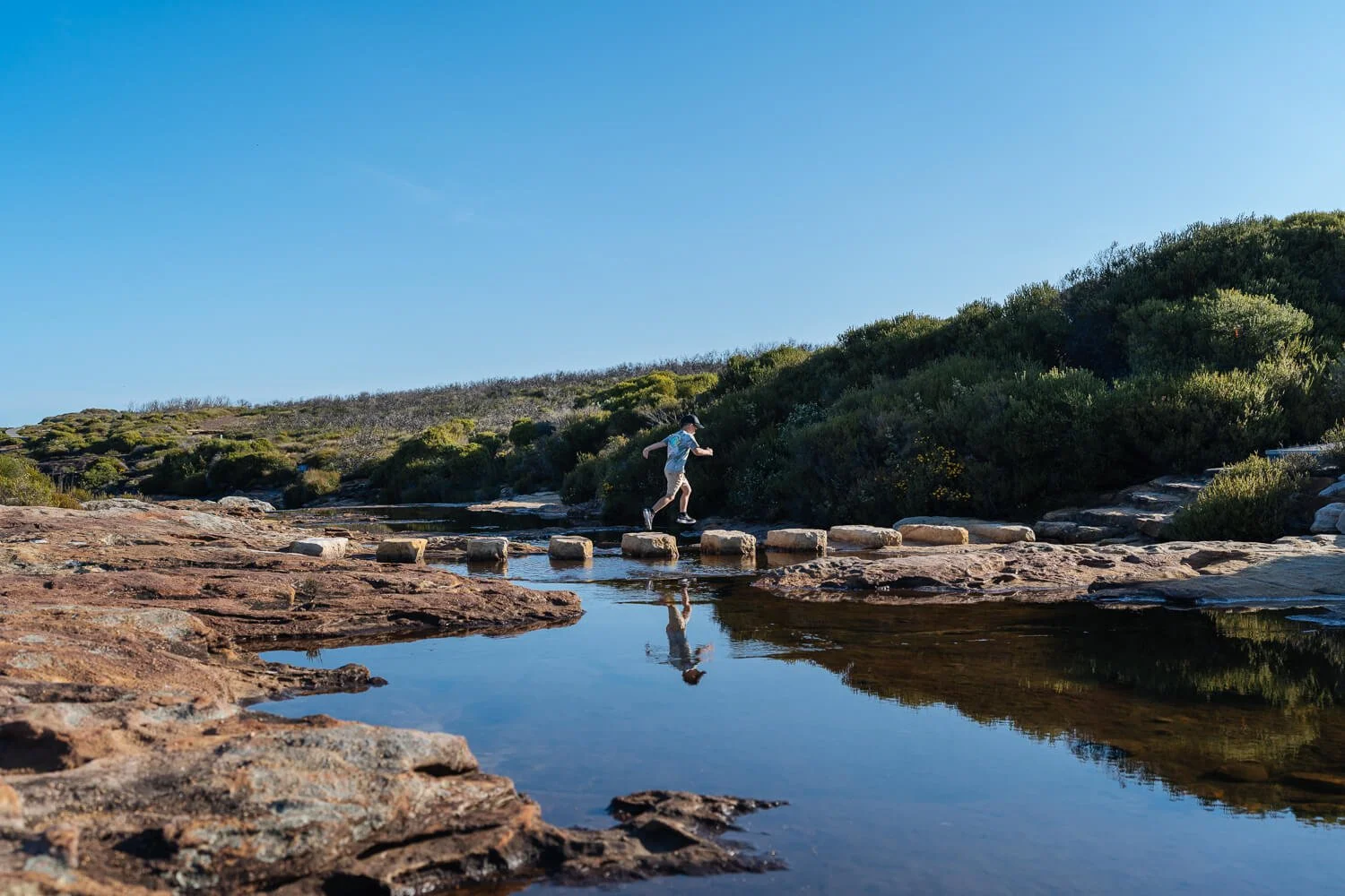 The 12 Best Walks In The Sutherland Shire — SHIRE SCOUT