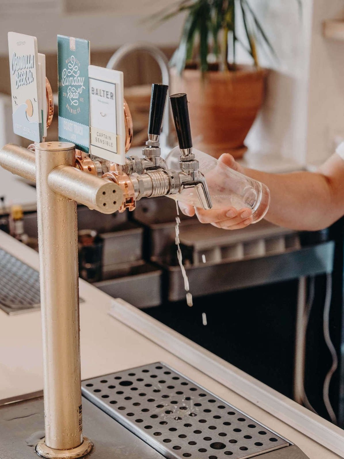 What’s On In The Sutherland Shire This December — SHIRE SCOUT