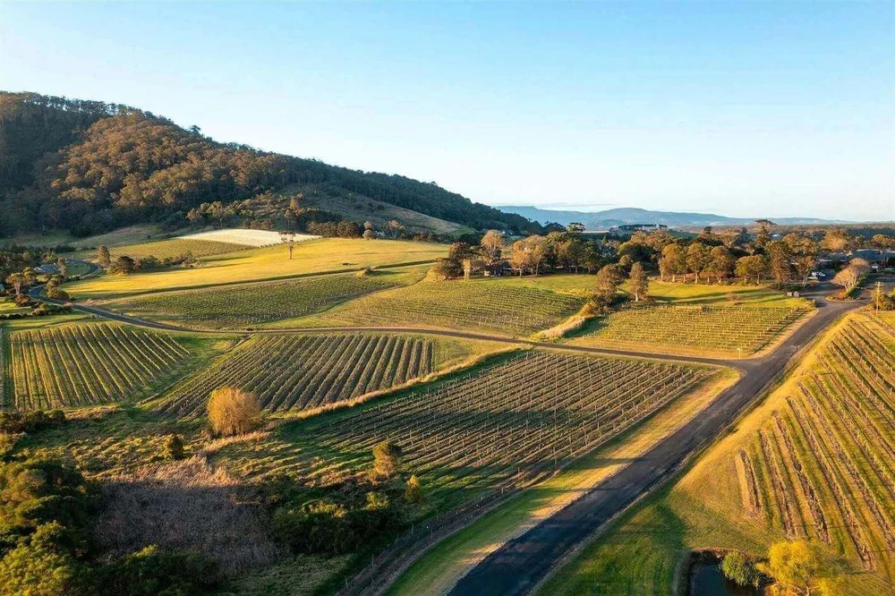 Berry, NSW: Things To Do — SHIRE SCOUT
