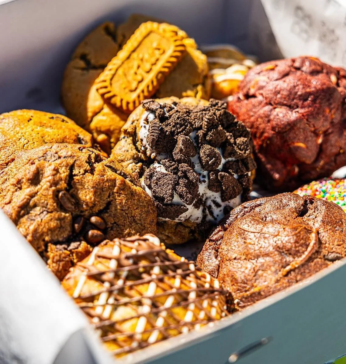 What’s On In The Shire This March — SHIRE SCOUT