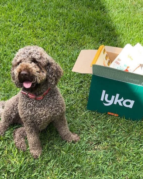 SCOUT’S FAVOURITE DOGGO PUTS LYKA’S MEALS TO THE TEST — SHIRE SCOUT