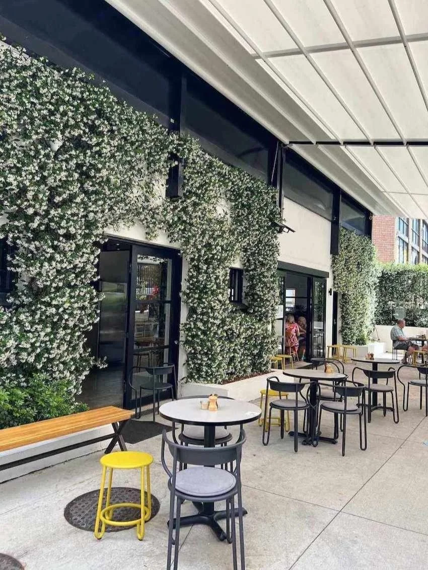 The 8 Best Work-Friendly Cafes In The Sutherland Shire — SHIRE SCOUT