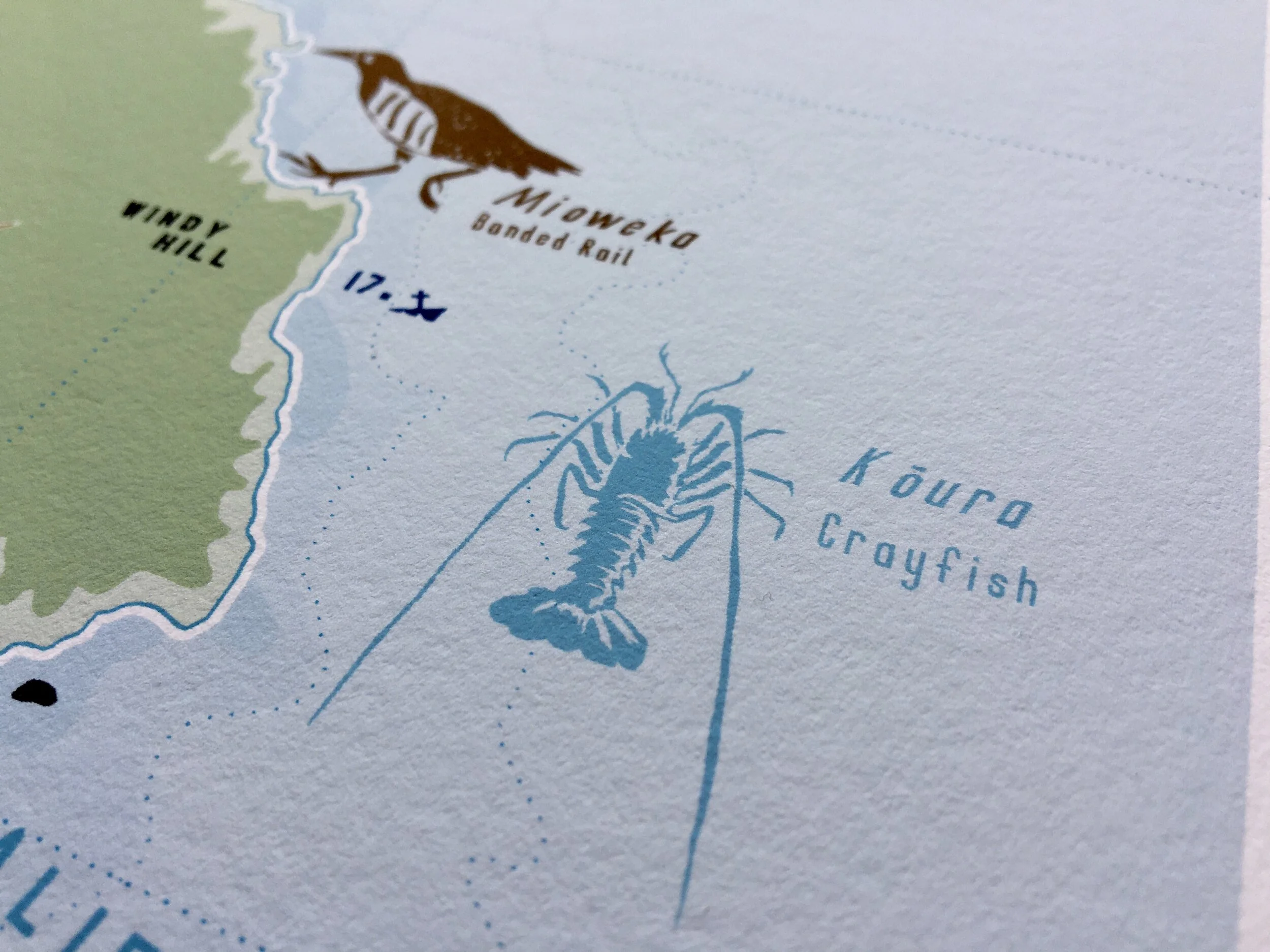 BB Map of Aotea — BB Maps NZ