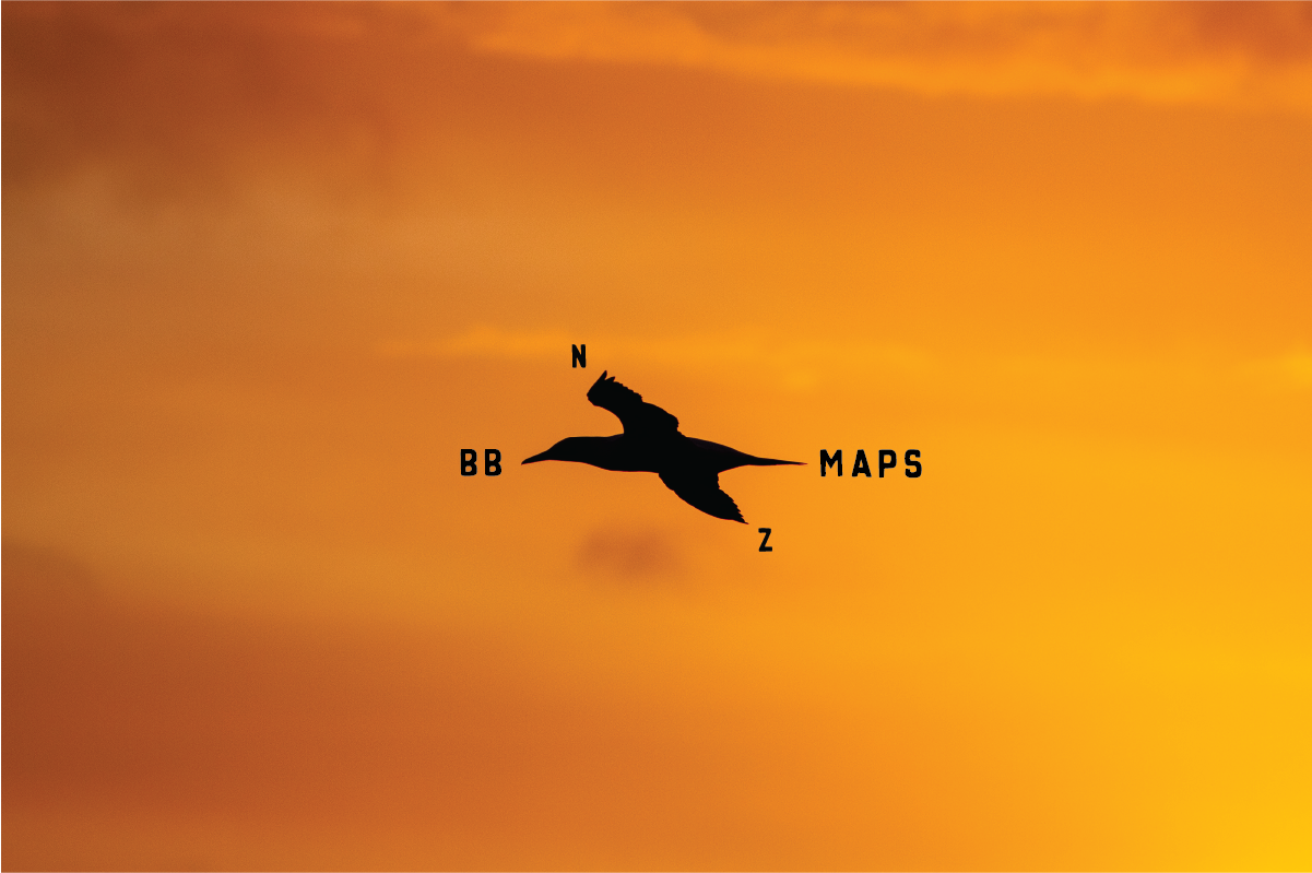 BB Map Store — BB Maps NZ