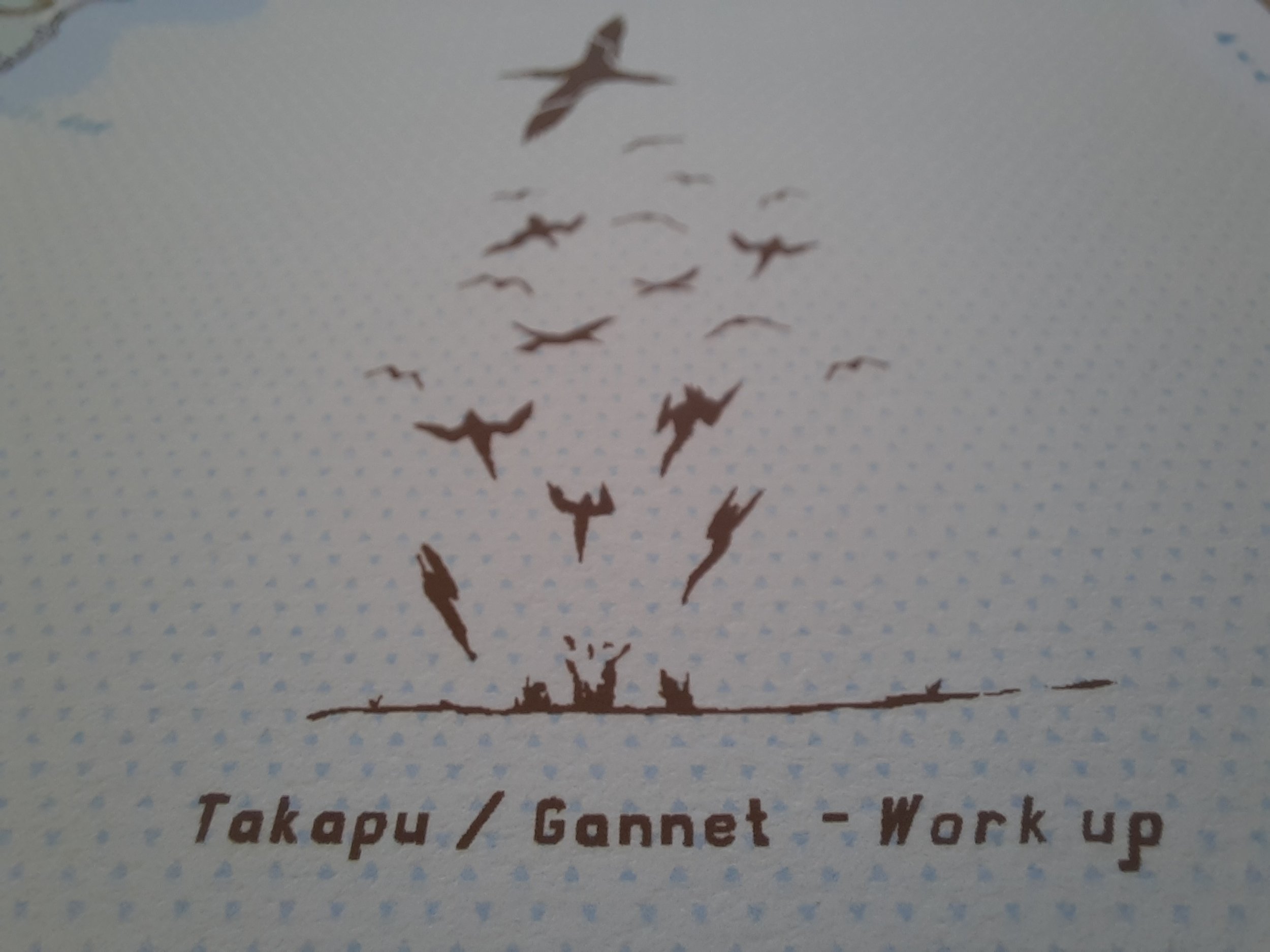 BB Map of Aotea — BB Maps NZ