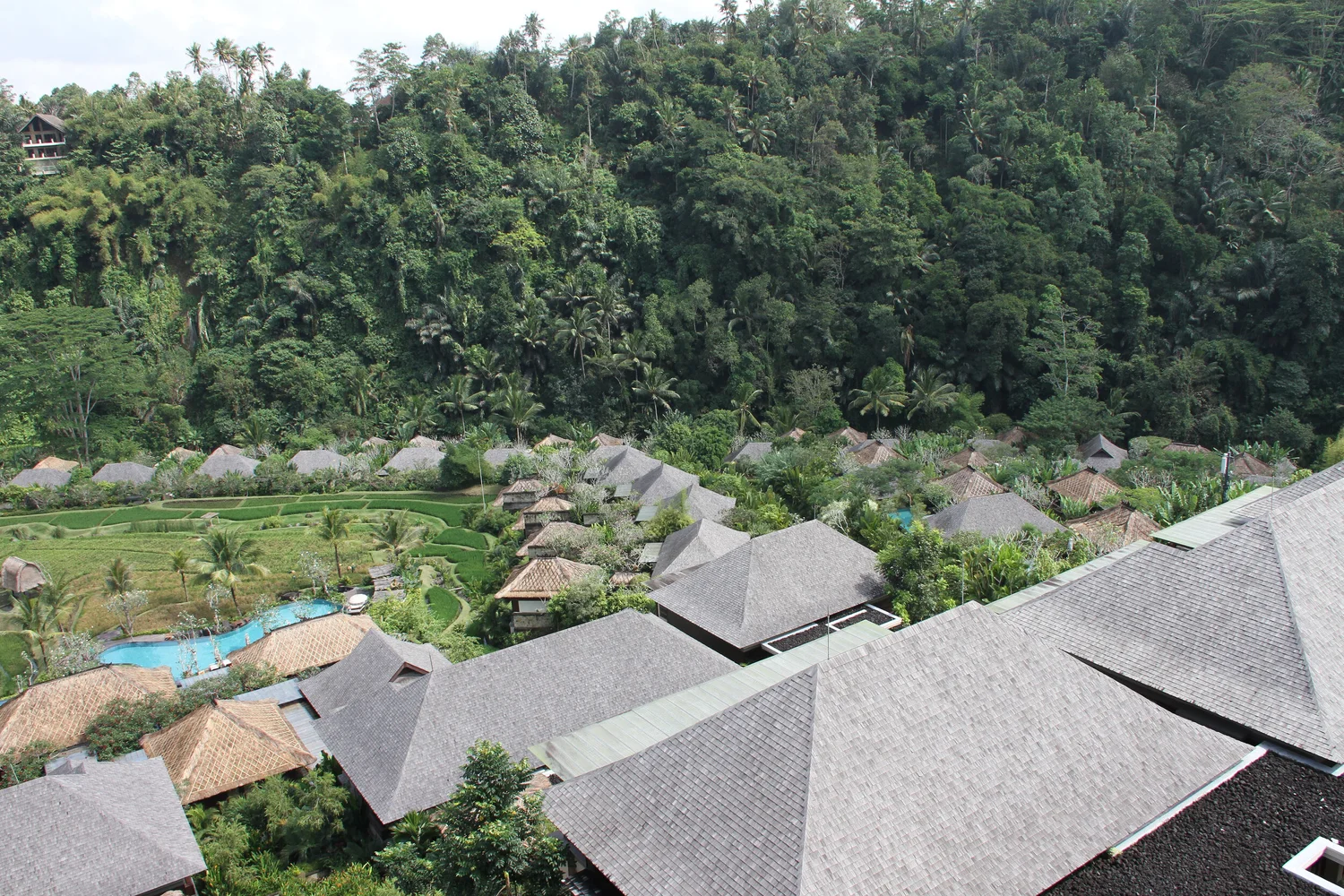 Our Honeymoon Stay in Ubud, Bali — farm hill