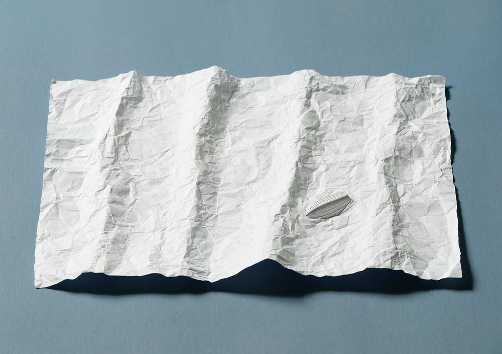 A4 papercuts — PETER CALLESEN