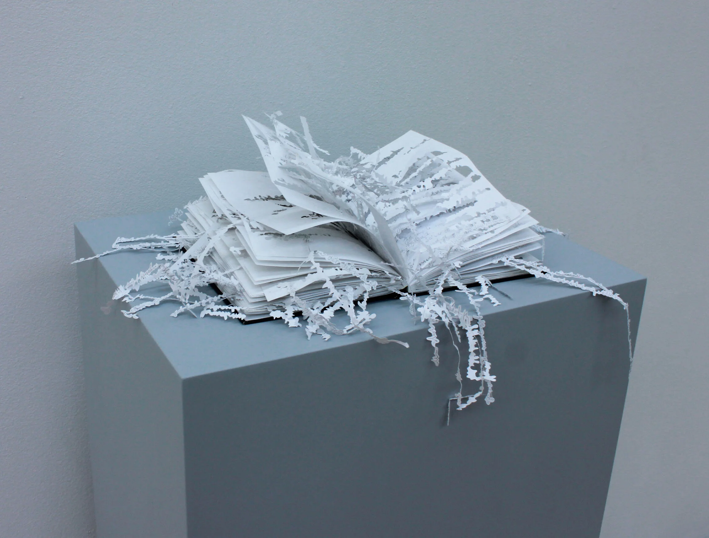 No Title, Too many Words — PETER CALLESEN