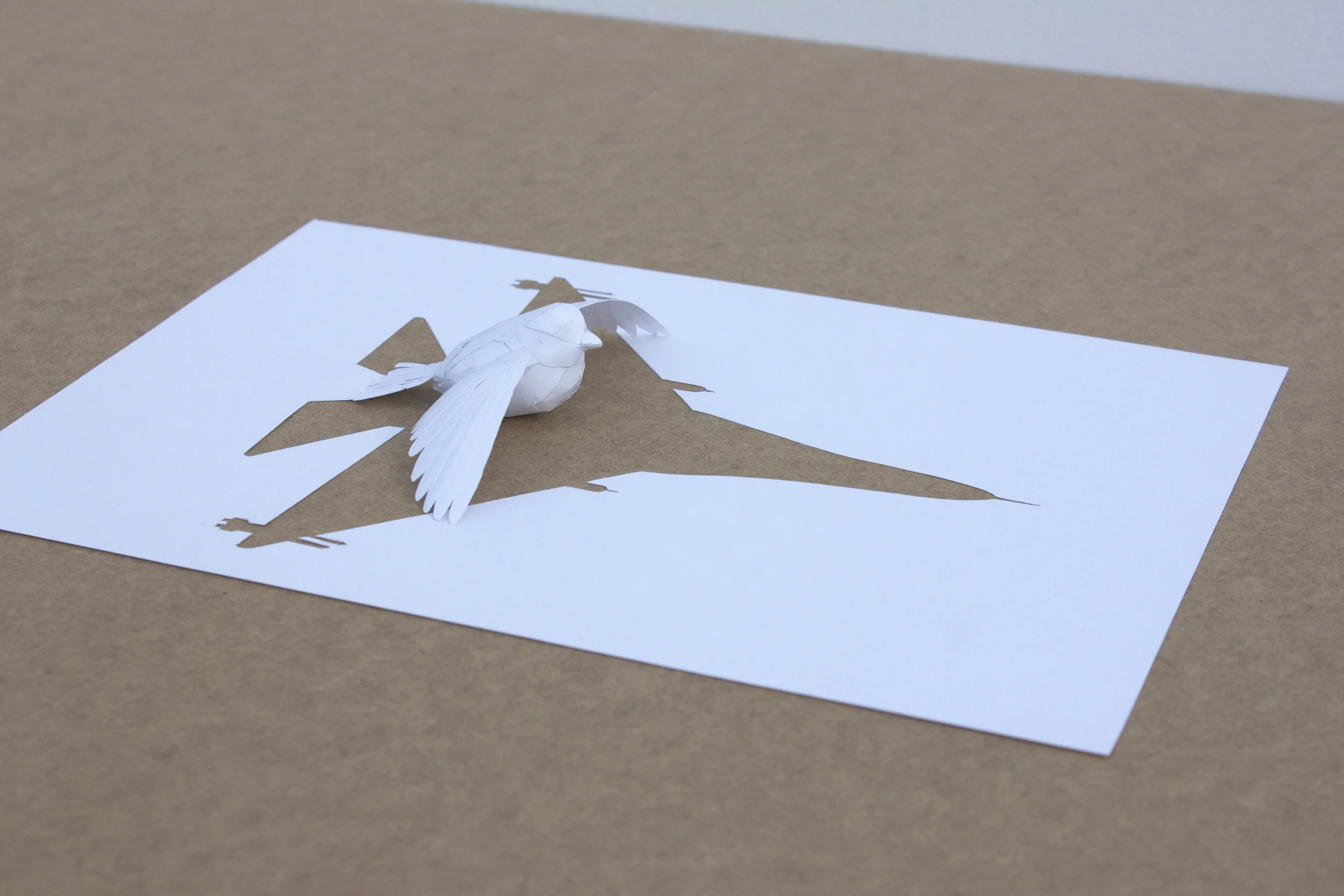 A4 papercuts — PETER CALLESEN