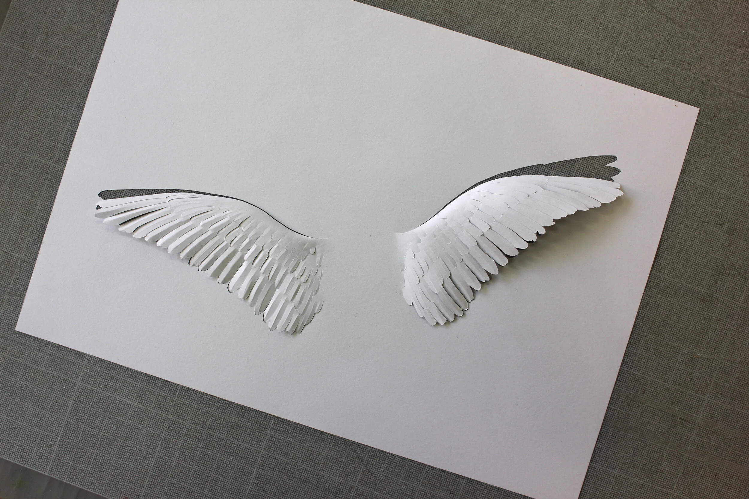 A4 papercuts — PETER CALLESEN