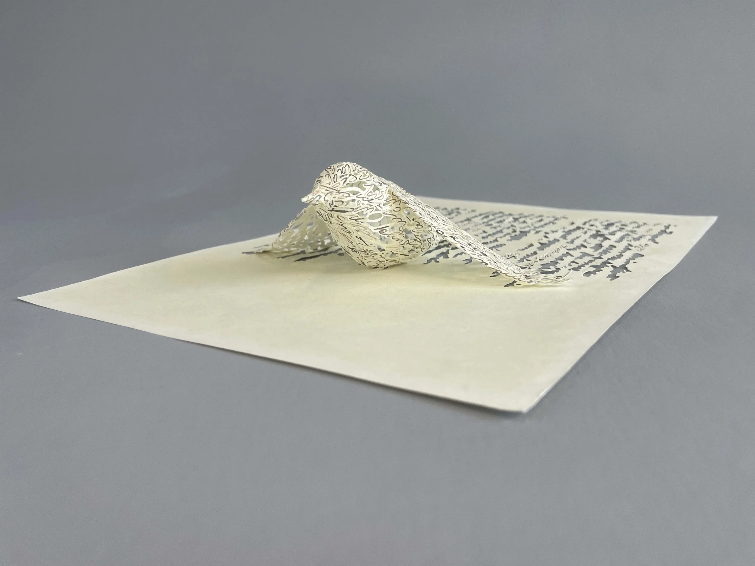 A4 papercuts — PETER CALLESEN