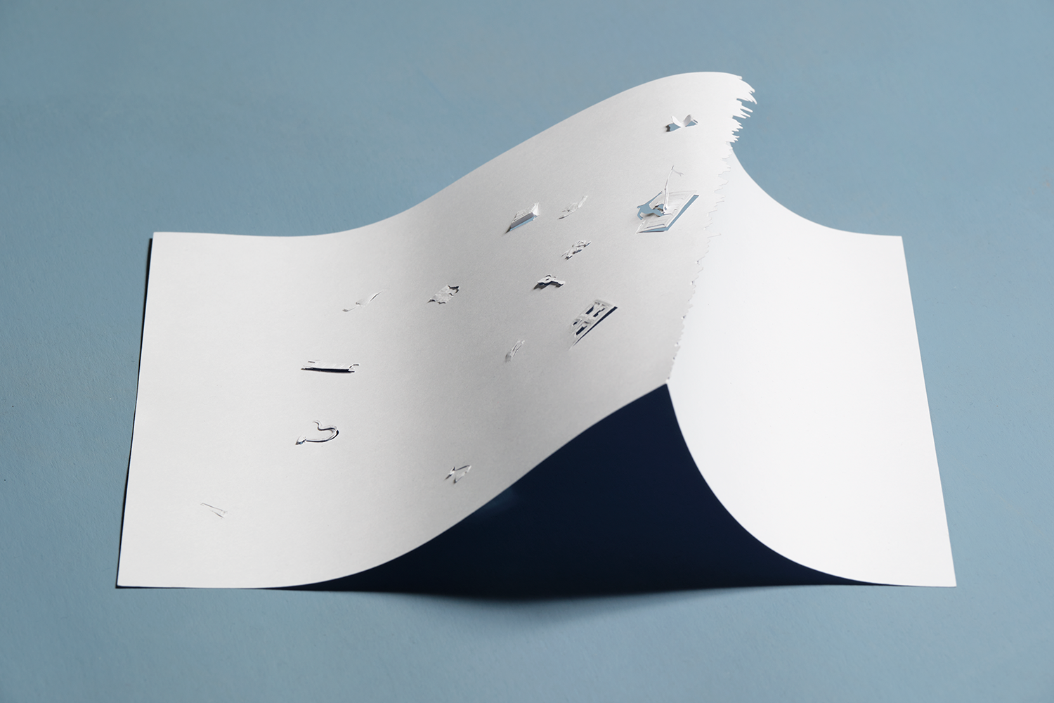 A4 papercuts — PETER CALLESEN