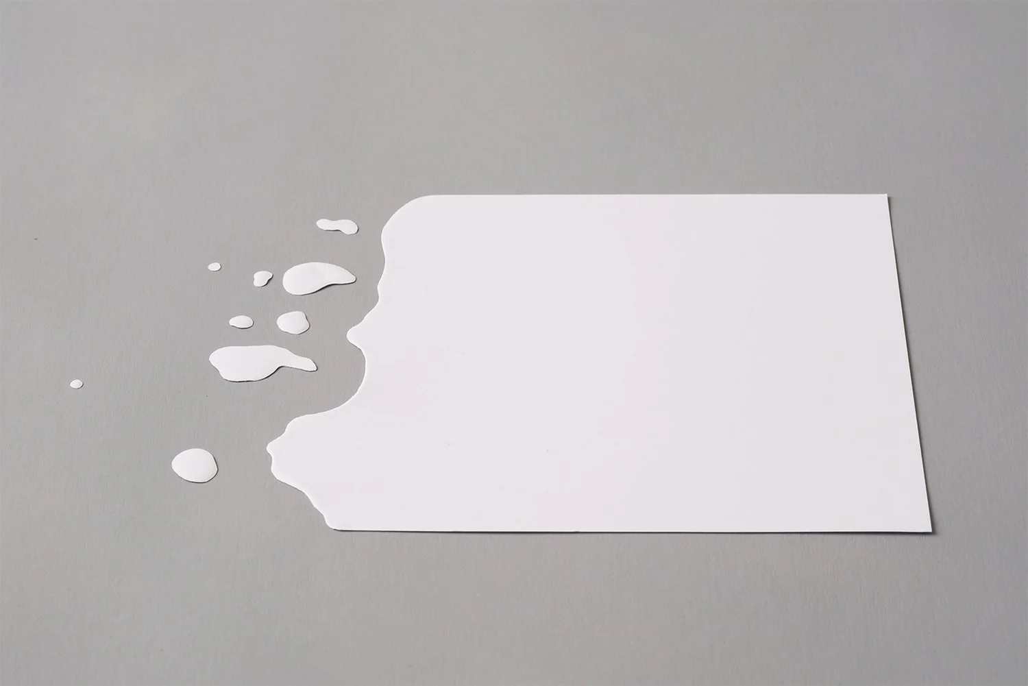 A4 papercuts — PETER CALLESEN