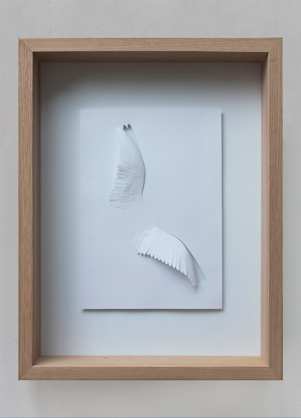 available wings of paper — PETER CALLESEN