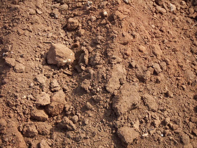 Sol Rouge Vineyard — Sol Rouge