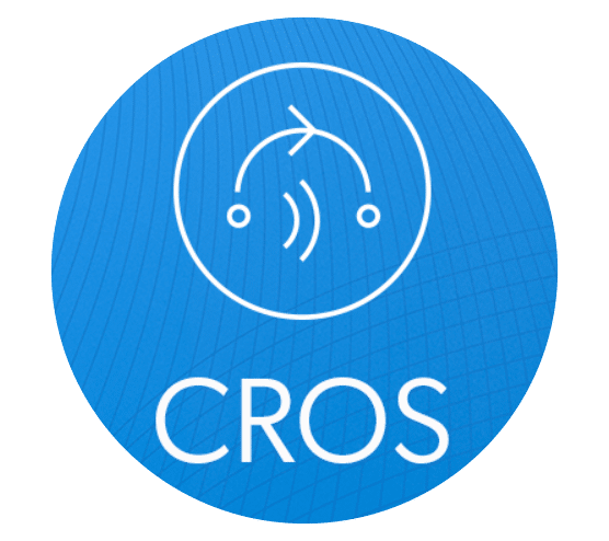 Discover advanced hearing solutions for single-sided hearing loss with ...