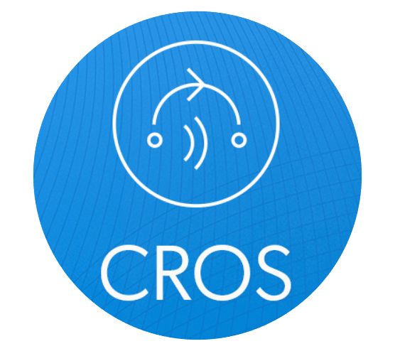 Discover advanced hearing solutions for single-sided hearing loss with ...