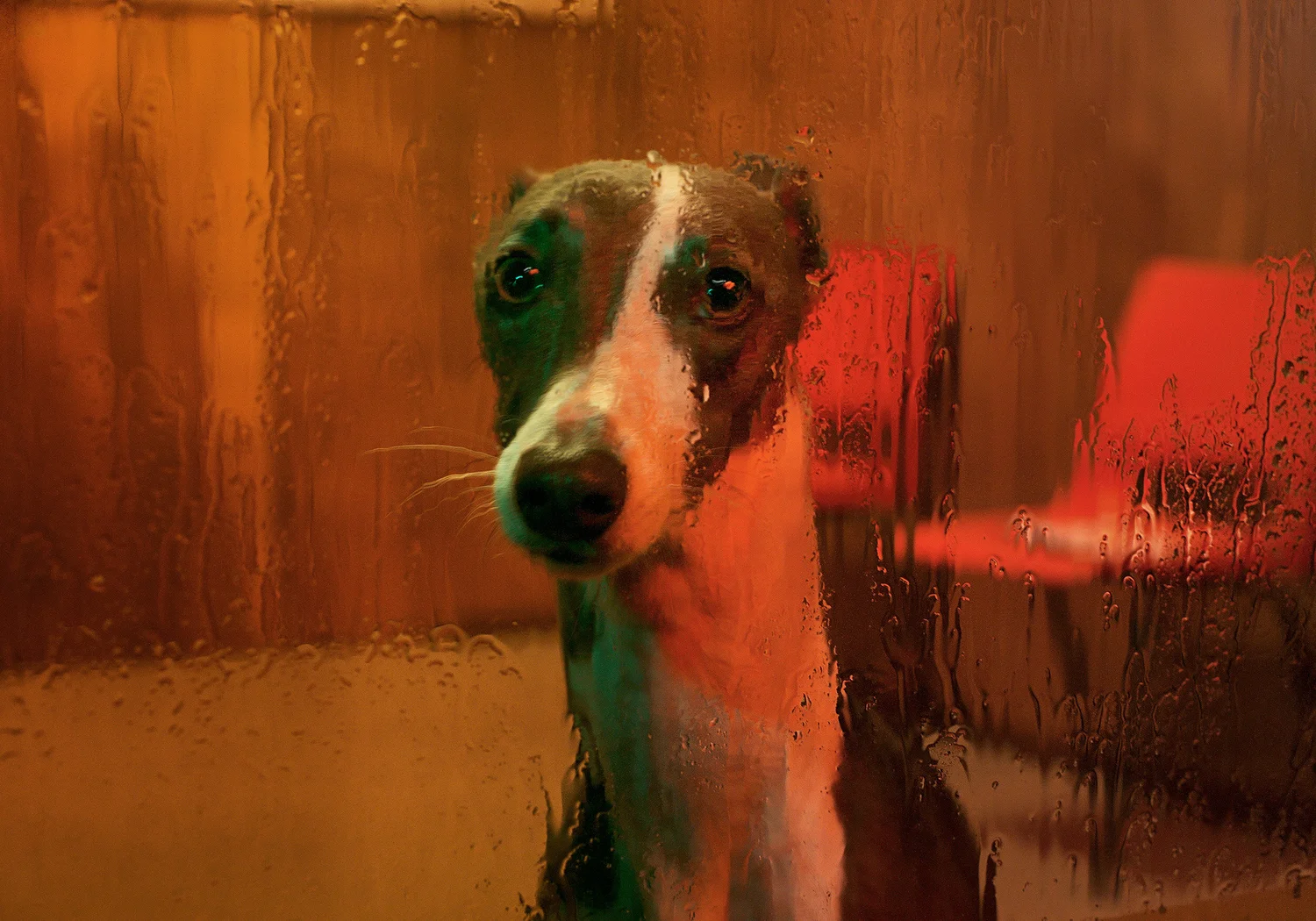 Take Me Away — NICKY HAMILTON